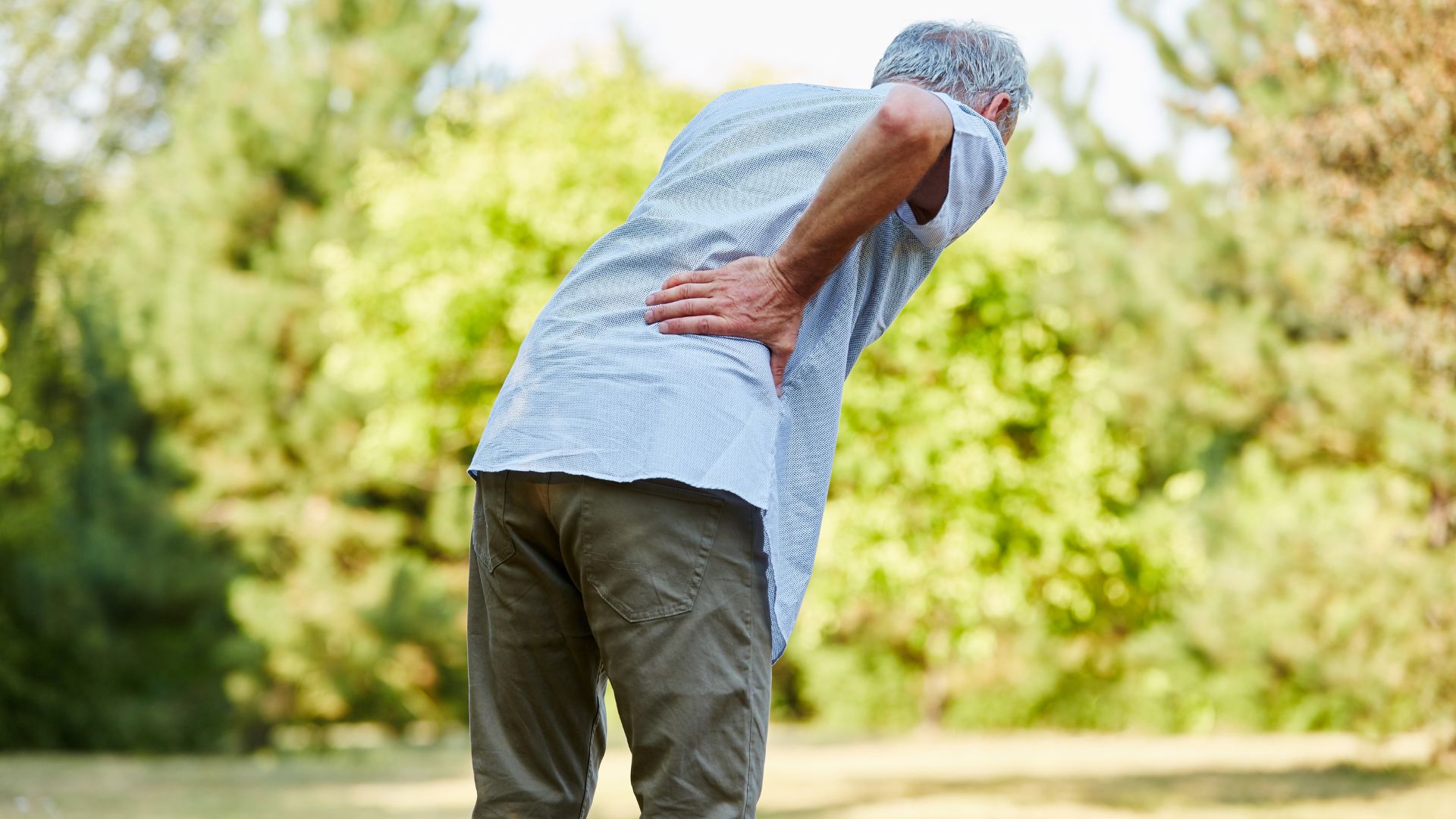 Back Pain and Shrinking in Height: Could It Be a Spinal Fracture? - PTL ...